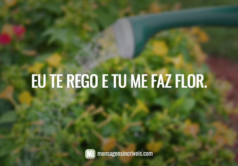 60 ideias de legenda para foto na piscina