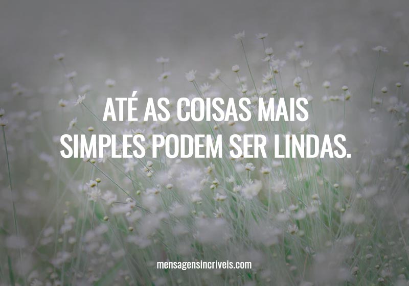 Até as coisas mais simples podem ser lindas.
