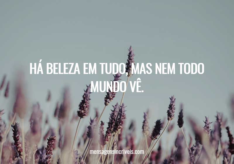 53 frases bonitas para você usar sempre que quiser