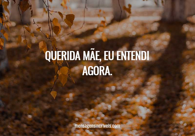 50 frases para mãe para expressar o seu amor à sua